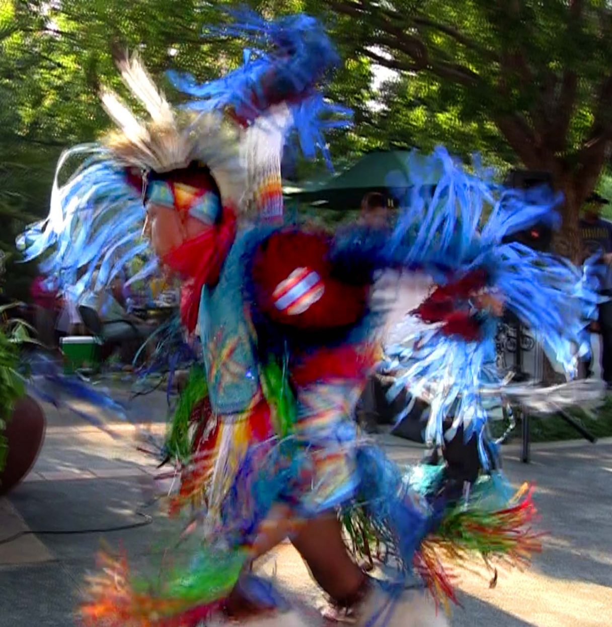 Not native enough | The Salt Lake Tribune