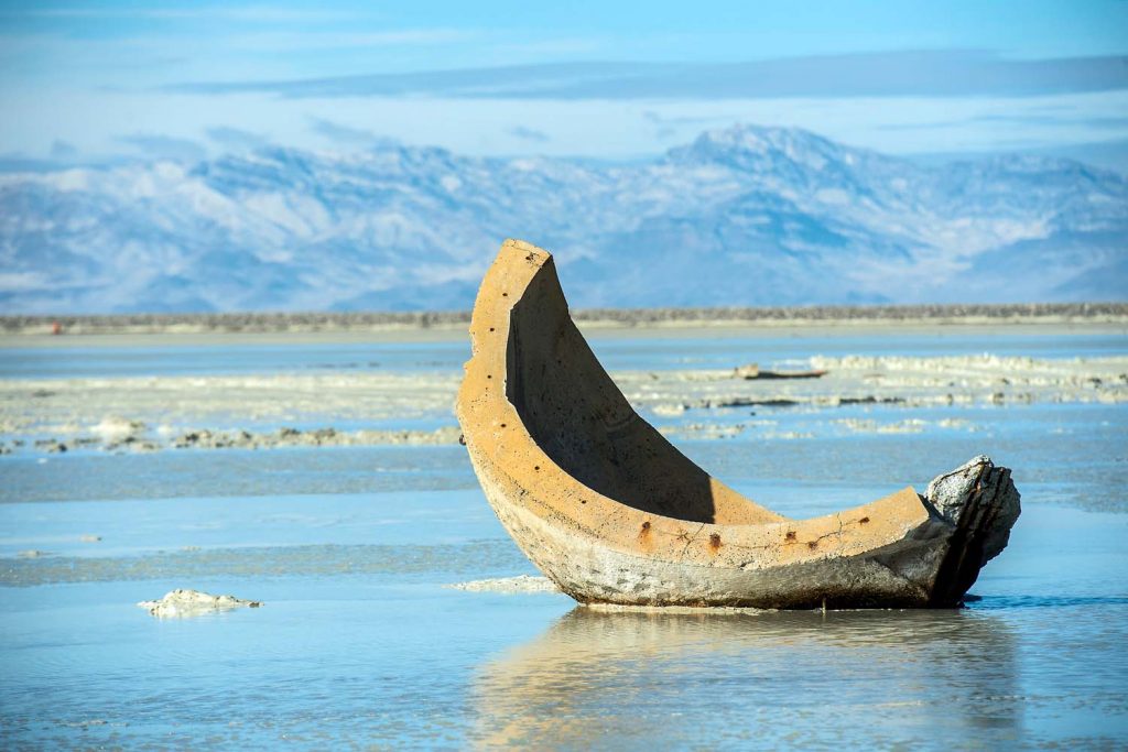 Artist’s planned museum aims to ensure ‘Tree of Utah’ lives on – | The ...